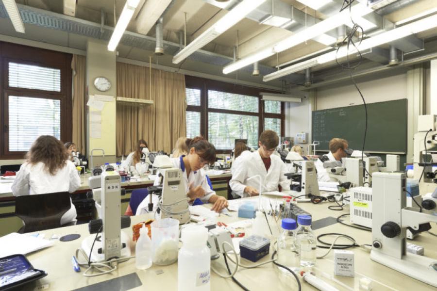 FAU - Friedrich-Alexander University Erlangen-Nürnberg